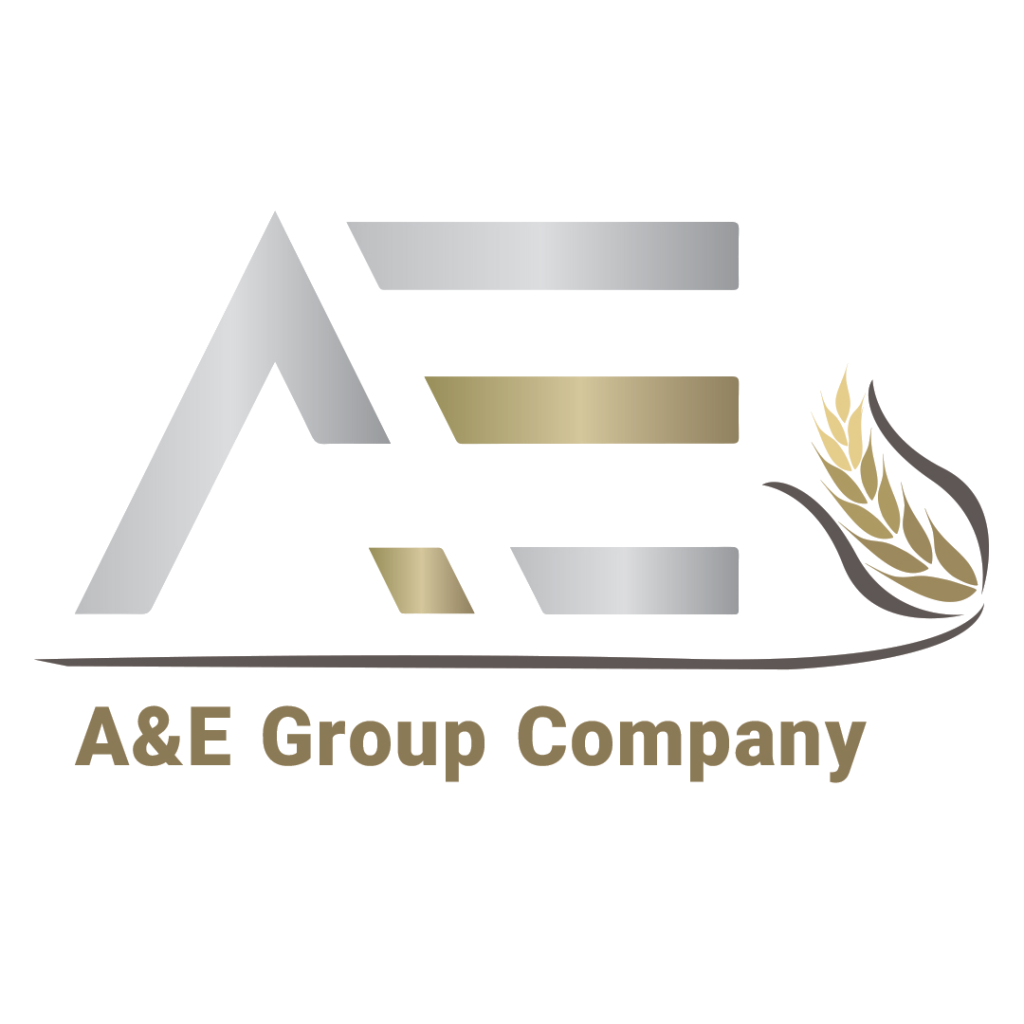 CONTACT US A E GROUP Co CONTACT US A E GROUP Co